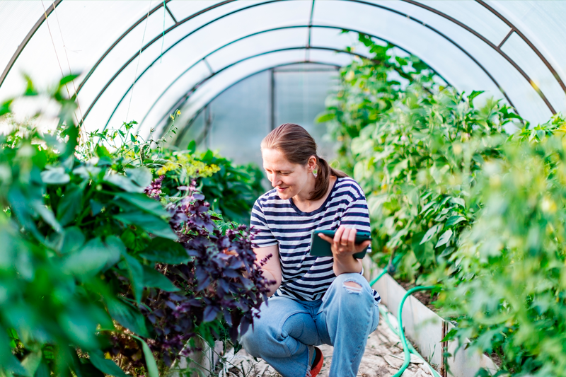 Pymes Verdes | Banco Santander