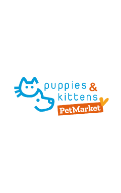Puppies & Kittens | Banco Santander